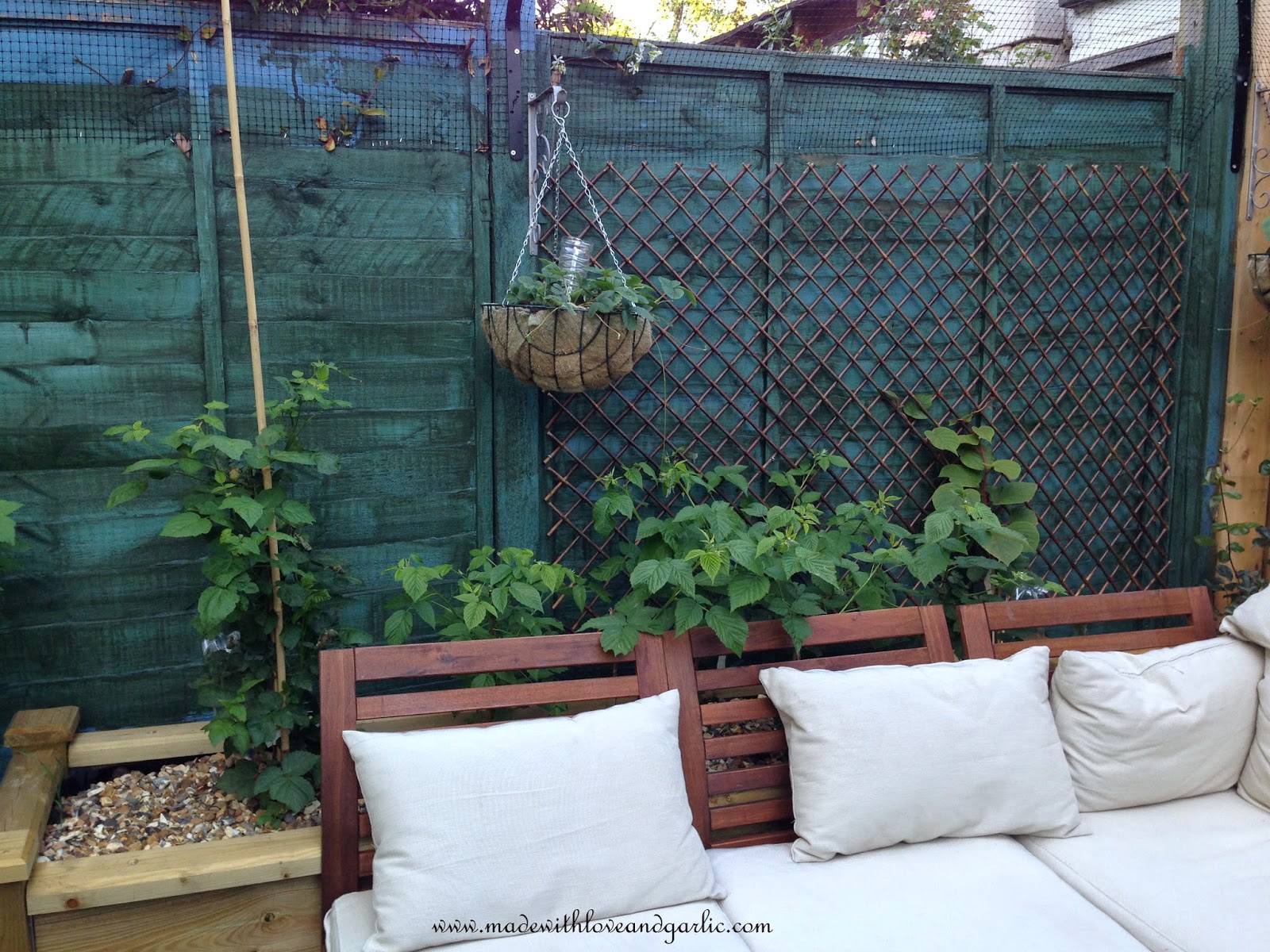 Tying in raspberry canes (whether they like it or not) – London to Land ...