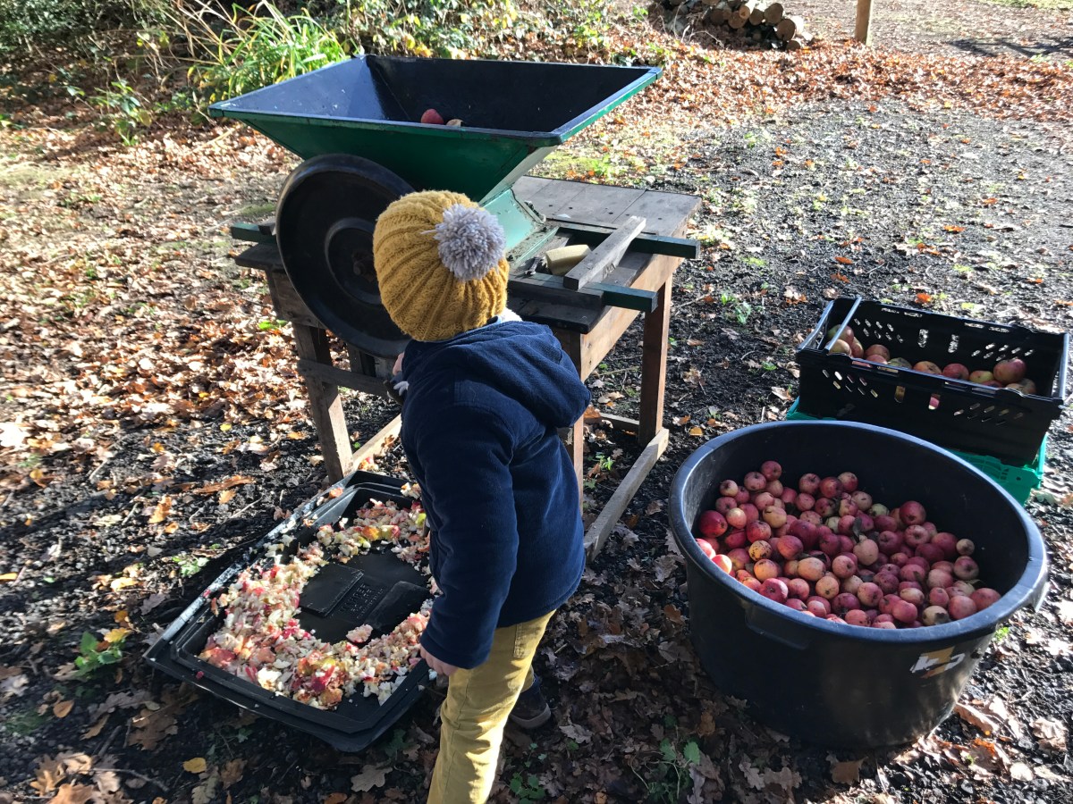 Country course review: cider making with Rural Courses – London to Land ...