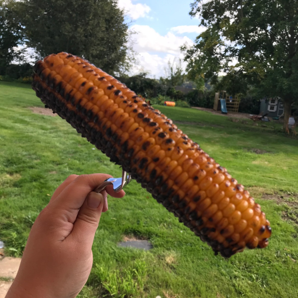 Sweetcorn for sweet teeth – London to Land Girl